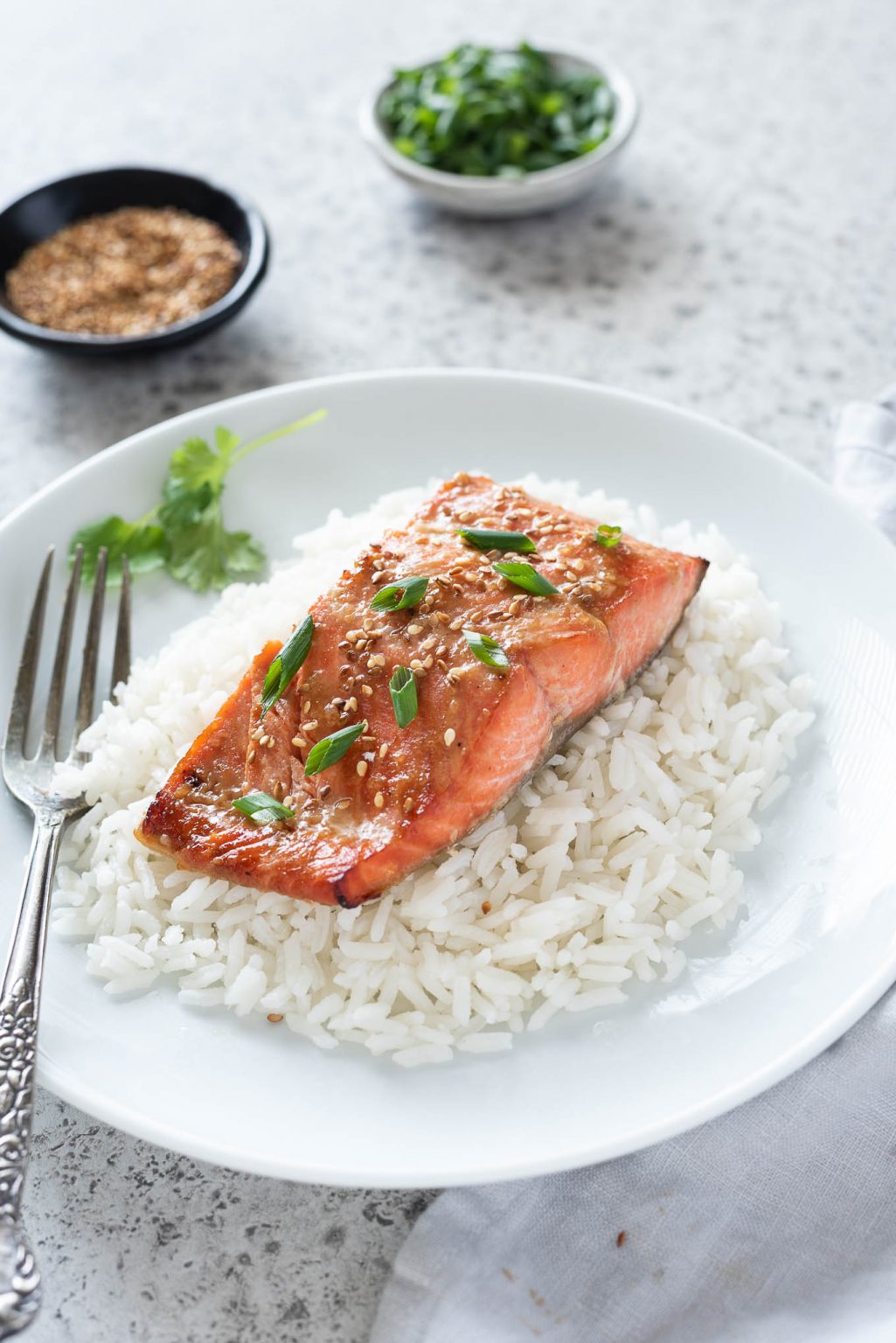 Miso Salmon Recipe - Flavor the Moments