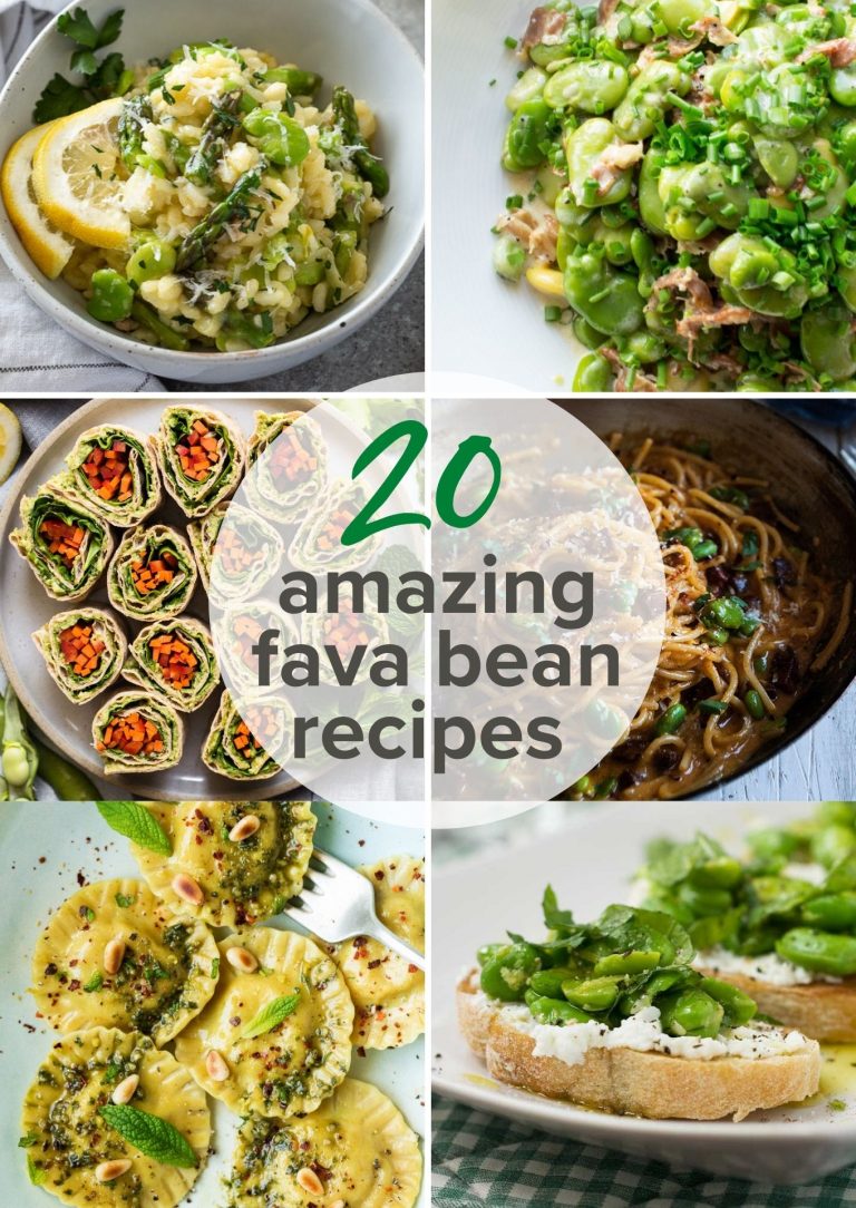 20 Fava Bean Recipes (+ Full Produce Guide!) - Flavor the Moments
