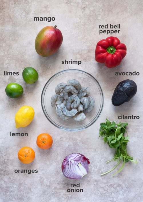 Easy Shrimp Ceviche Recipe - Flavor the Moments