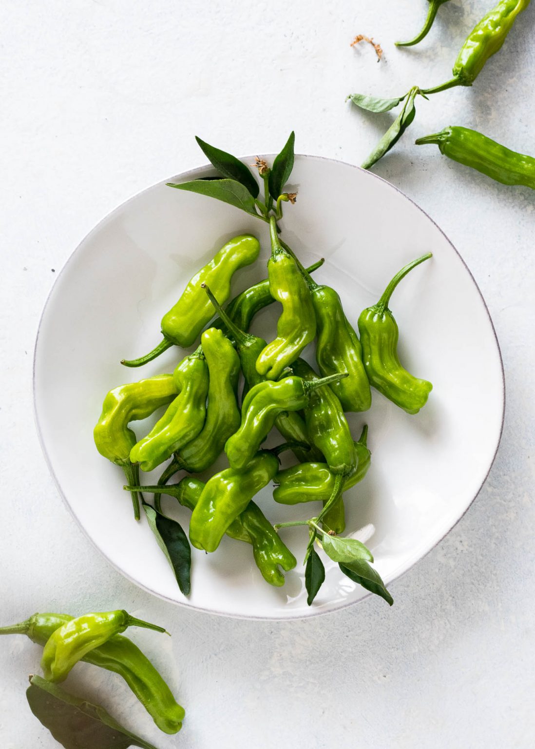 17 Shishito Pepper Recipes (& Produce Guide) - Flavor the Moments