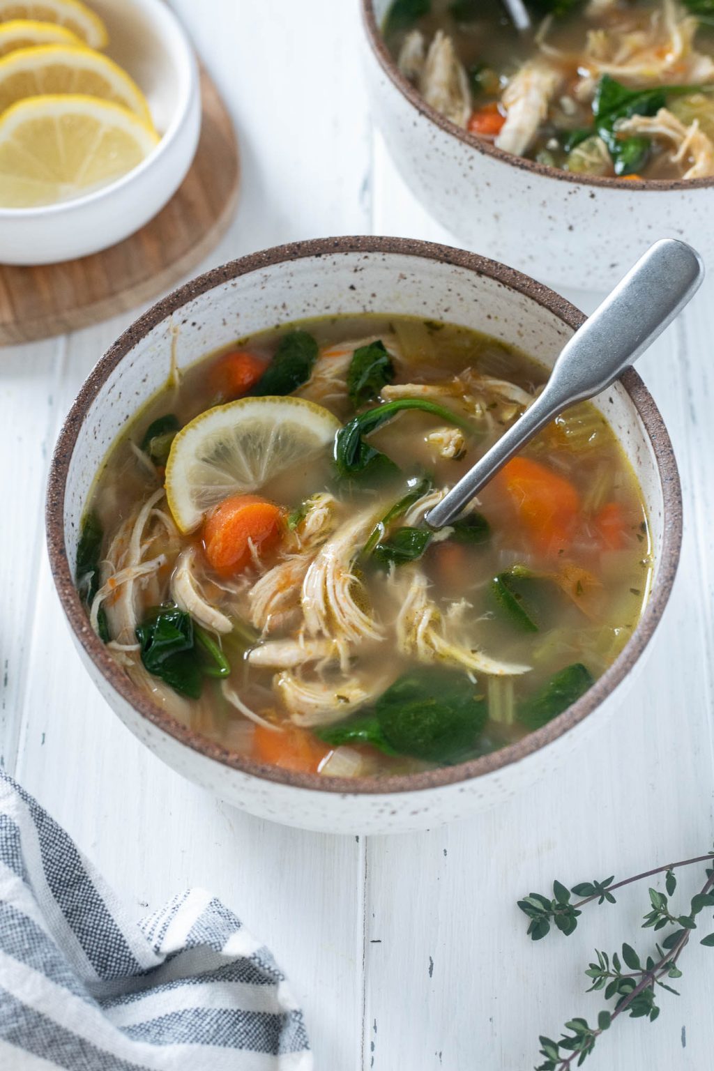 Lemon Chicken Vegetable Soup - Flavor the Moments