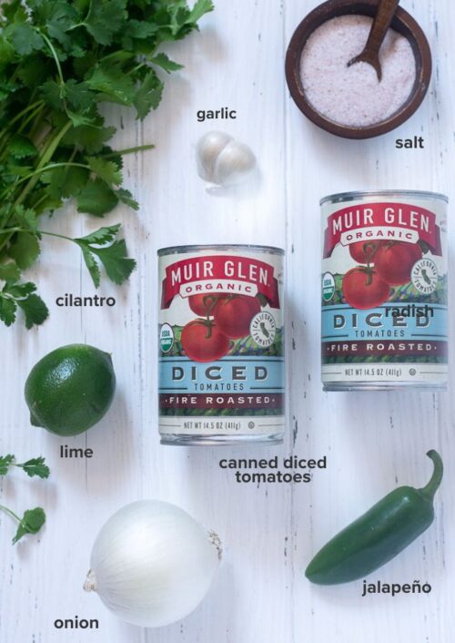 Restaurant Style Salsa Recipe - Flavor the Moments