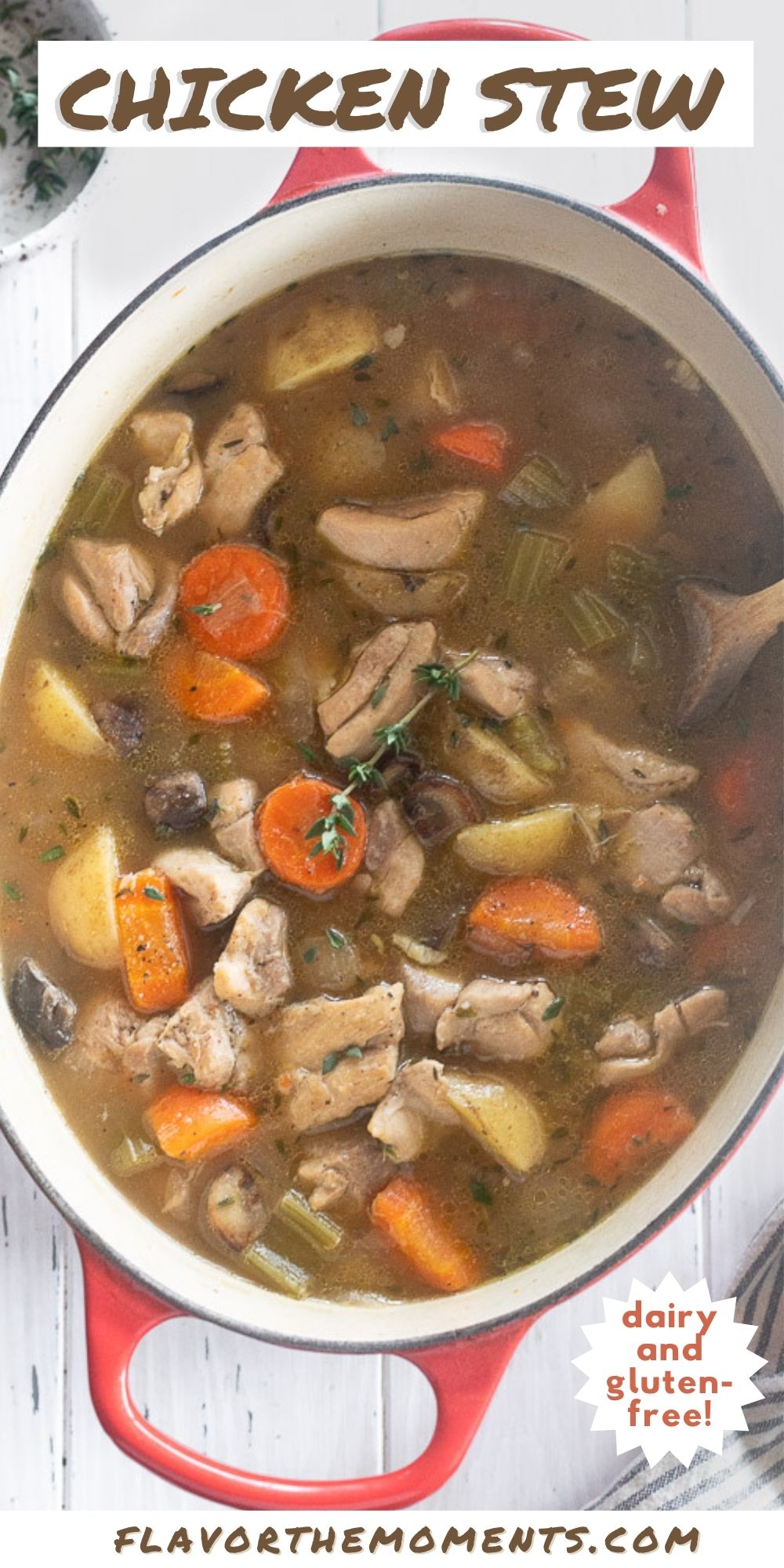 Chicken Stew Recipe - Easy One Pot Dinner!