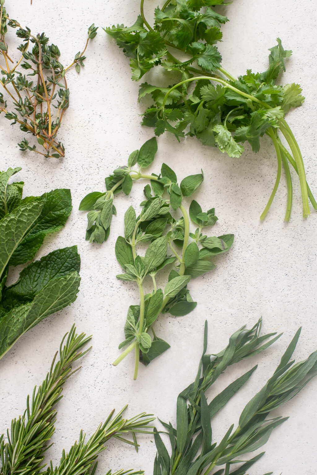 Fresh Herbs Produce Guide - Flavor the Moments