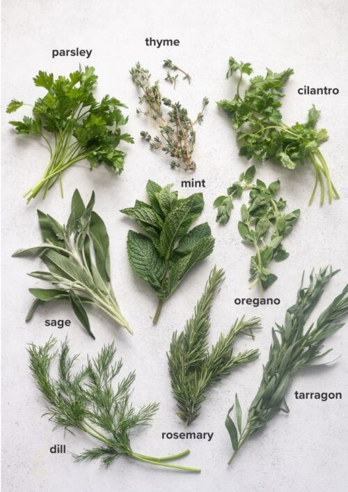 Fresh Herbs Produce Guide - Flavor the Moments