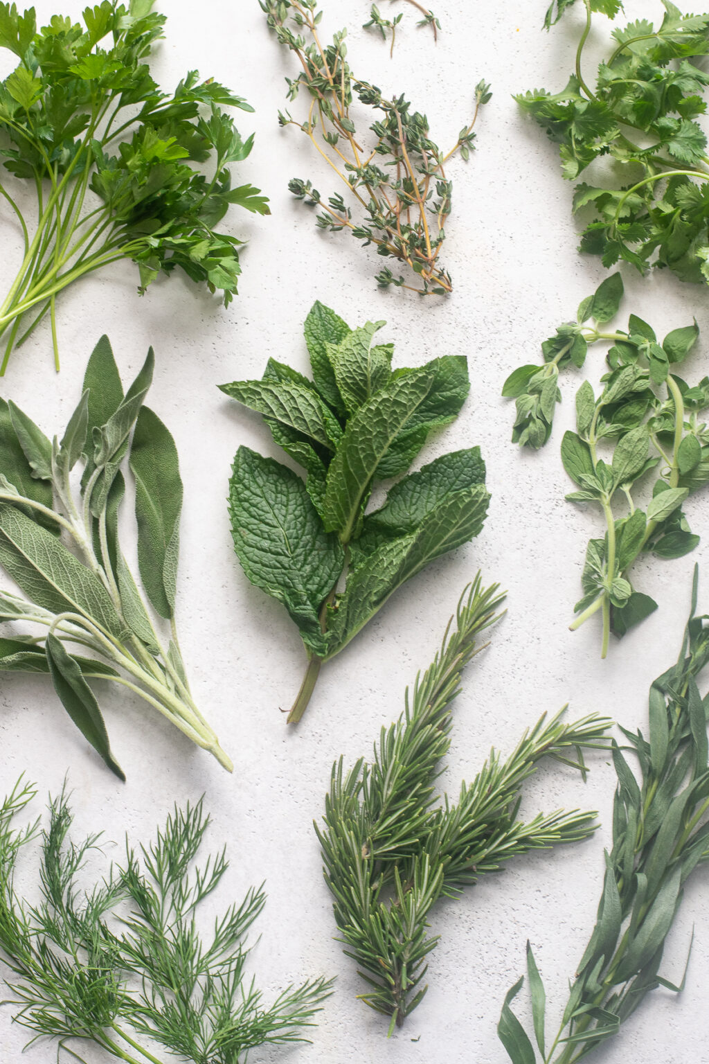 Fresh Herbs Produce Guide - Flavor the Moments