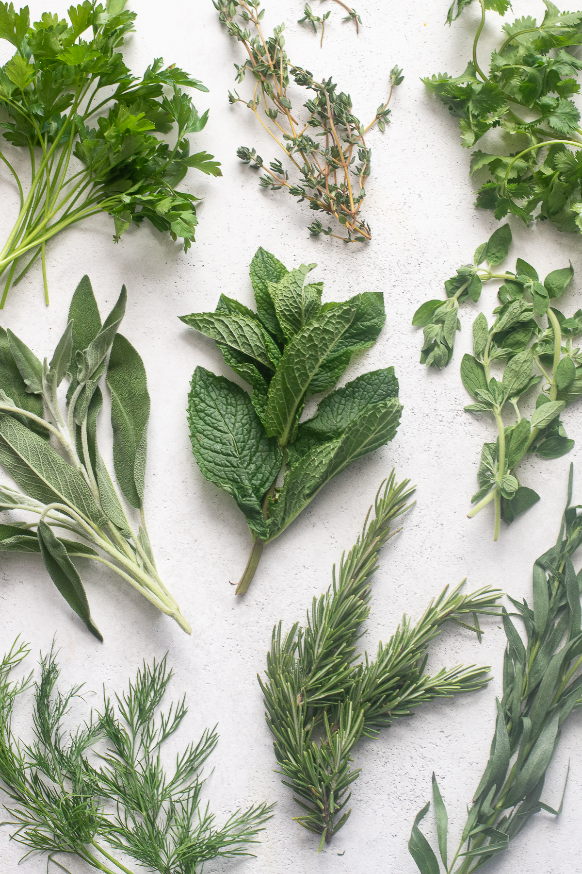 Fresh Herbs Produce Guide - Flavor the Moments