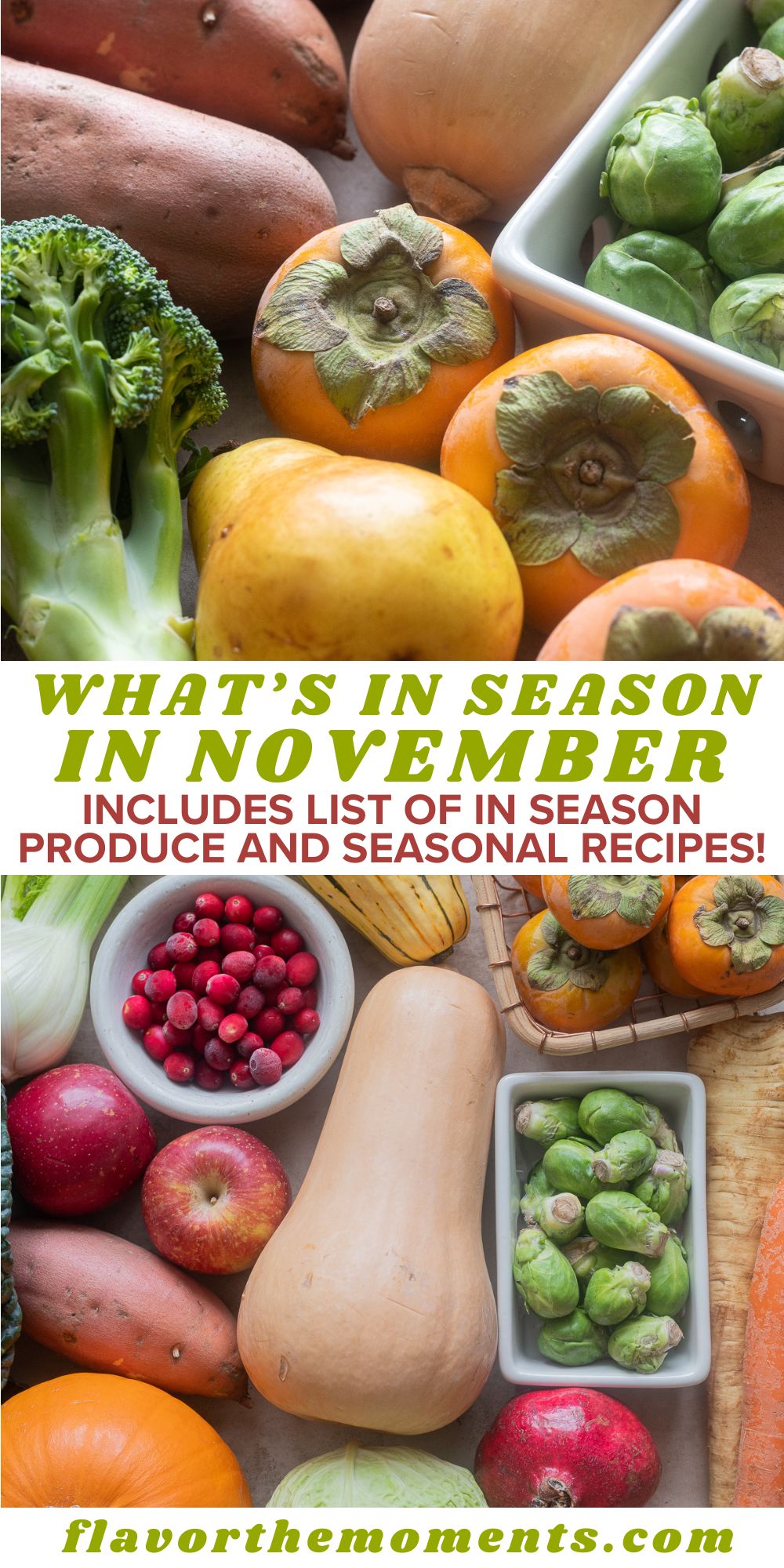 November Seasonal Produce Guide - Flavor the Moments
